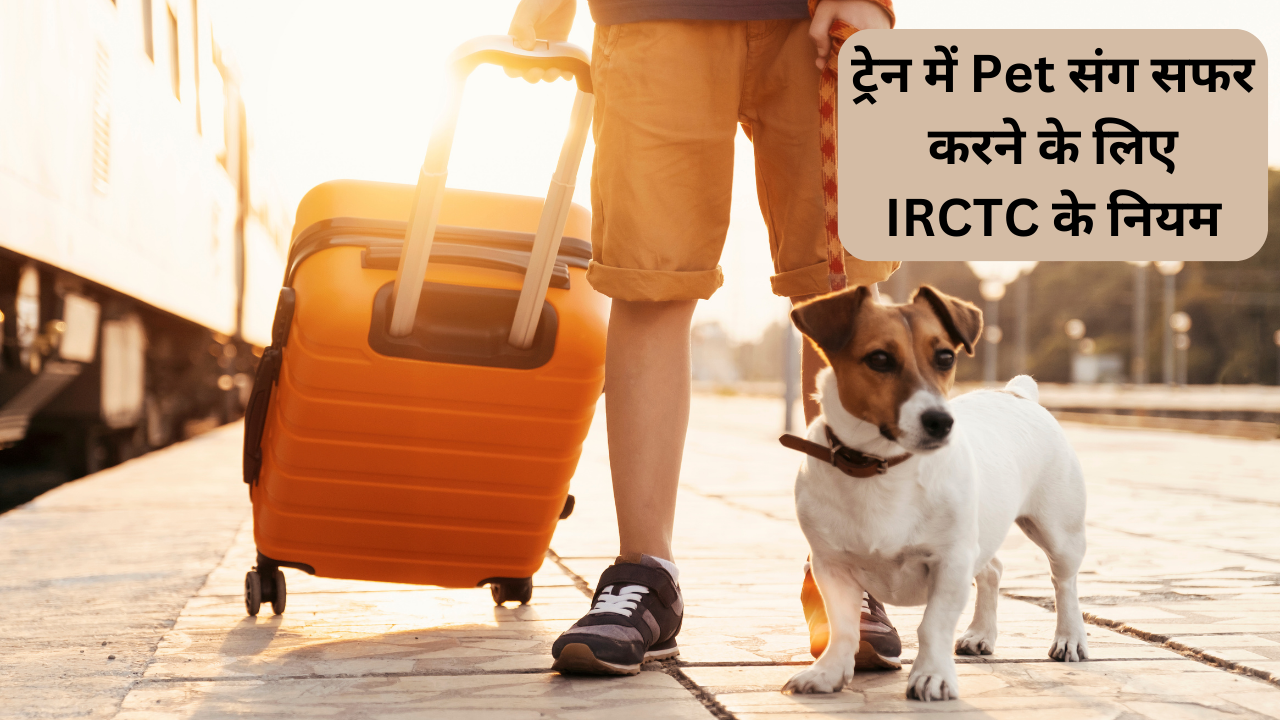 Pet Tickets In Train, Online Ticket Booking For Pets: Now owners can ...