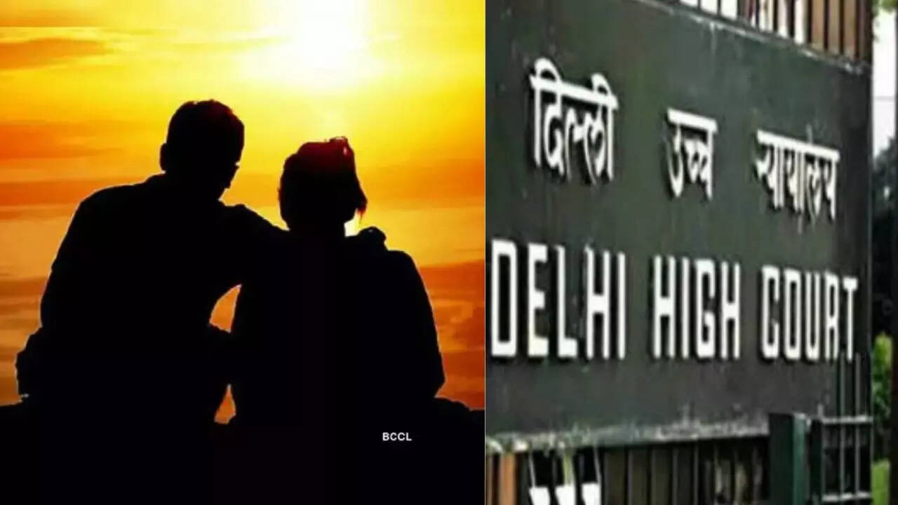 Married woman cannot accuse live-in partner of rape, Says Delhi High ...