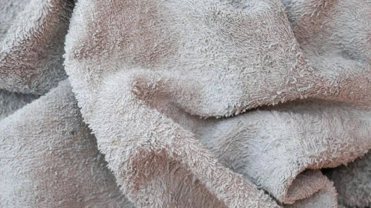 When Should You Wash Your Bed Sheets and Towels Or Chadar Toliya Kab ...