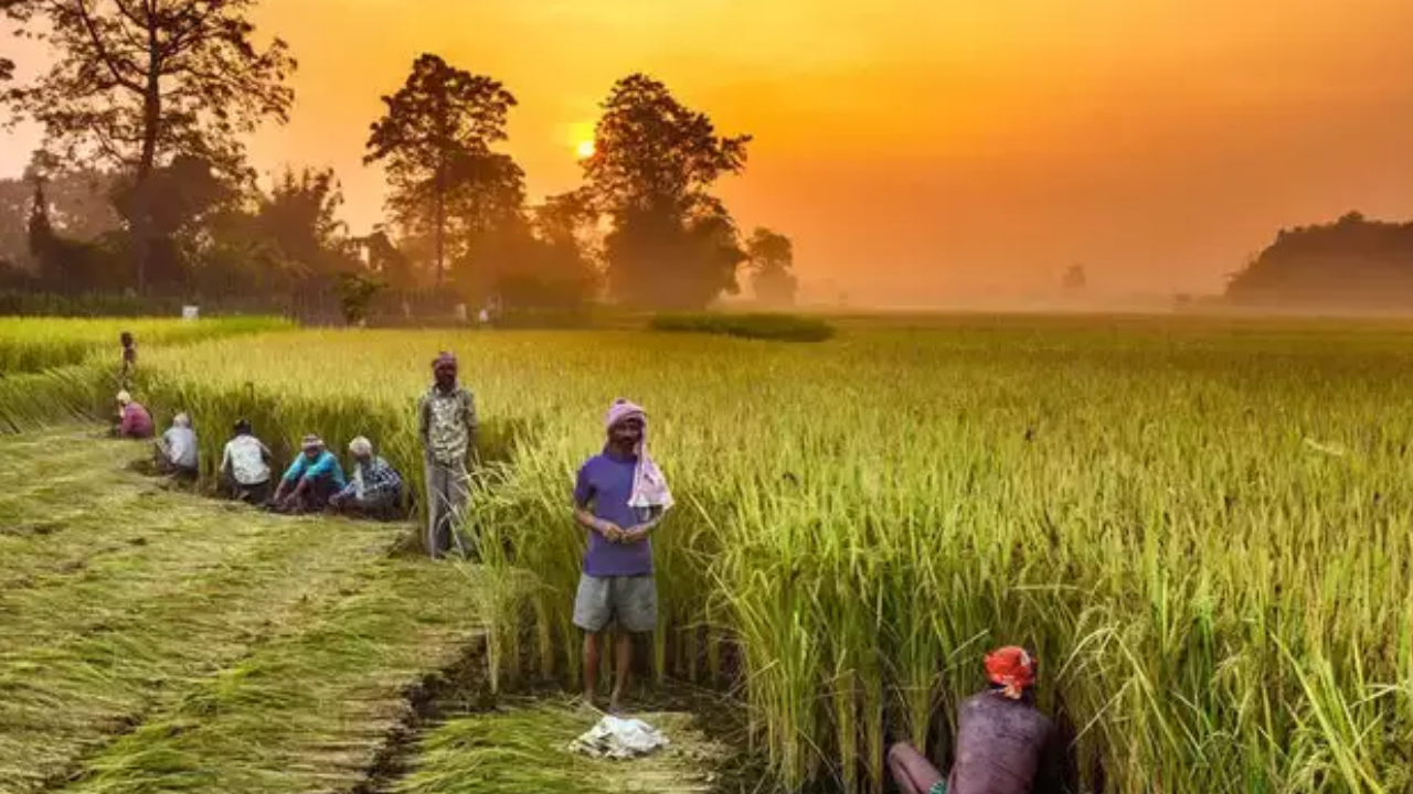 Farm sector: सरकार ने FCI की पूंजी बढ़ाकर 21,000 करोड़ रुपये की, MSP के ...