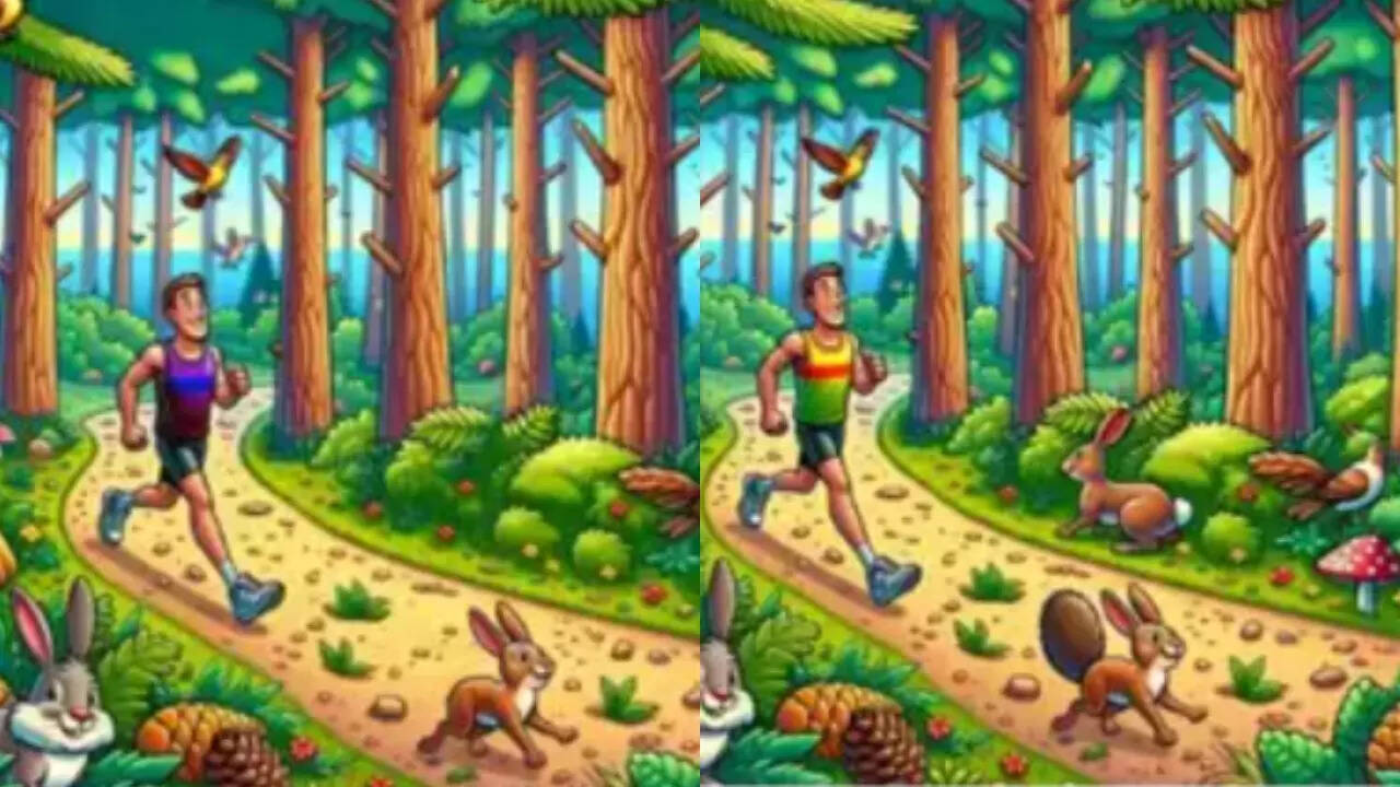 Brain Test Puzzle if you have Eagles eyes Then find three differences ...