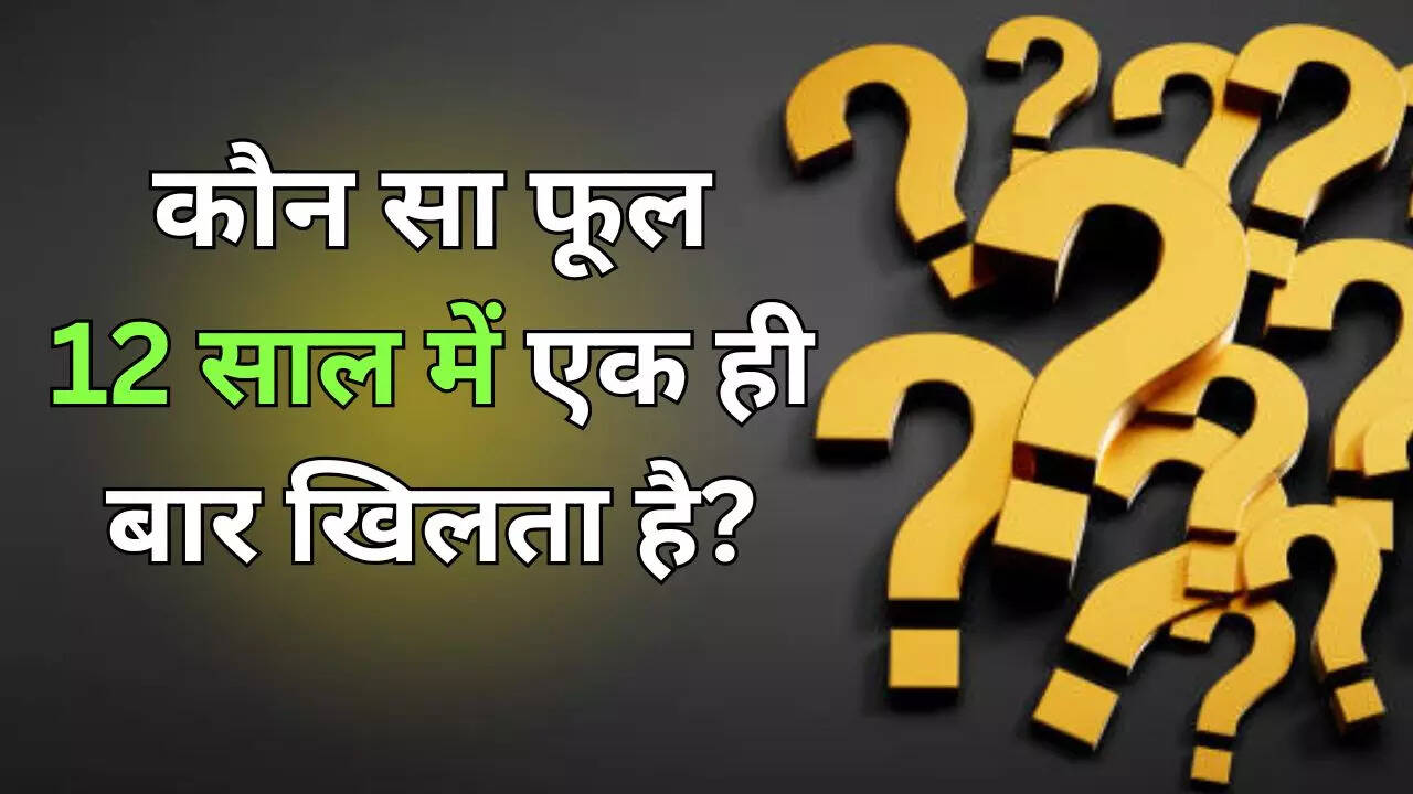 GK Tricky Quiz Interesting General Knowledge Question Answer GK for ...