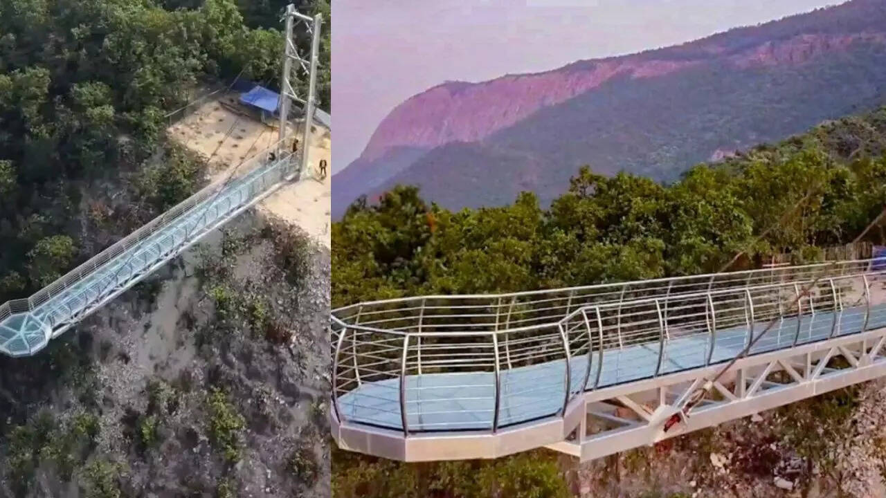 Rajgir Glass Bridge in Bihar Attracts Tourists Know Timing and Ticket ...