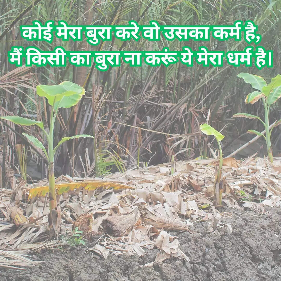 Karma Quotes In Hindi: कर्म लौटकर जरूर आता है.. कर्मा से जुड़े कोट्स को ...