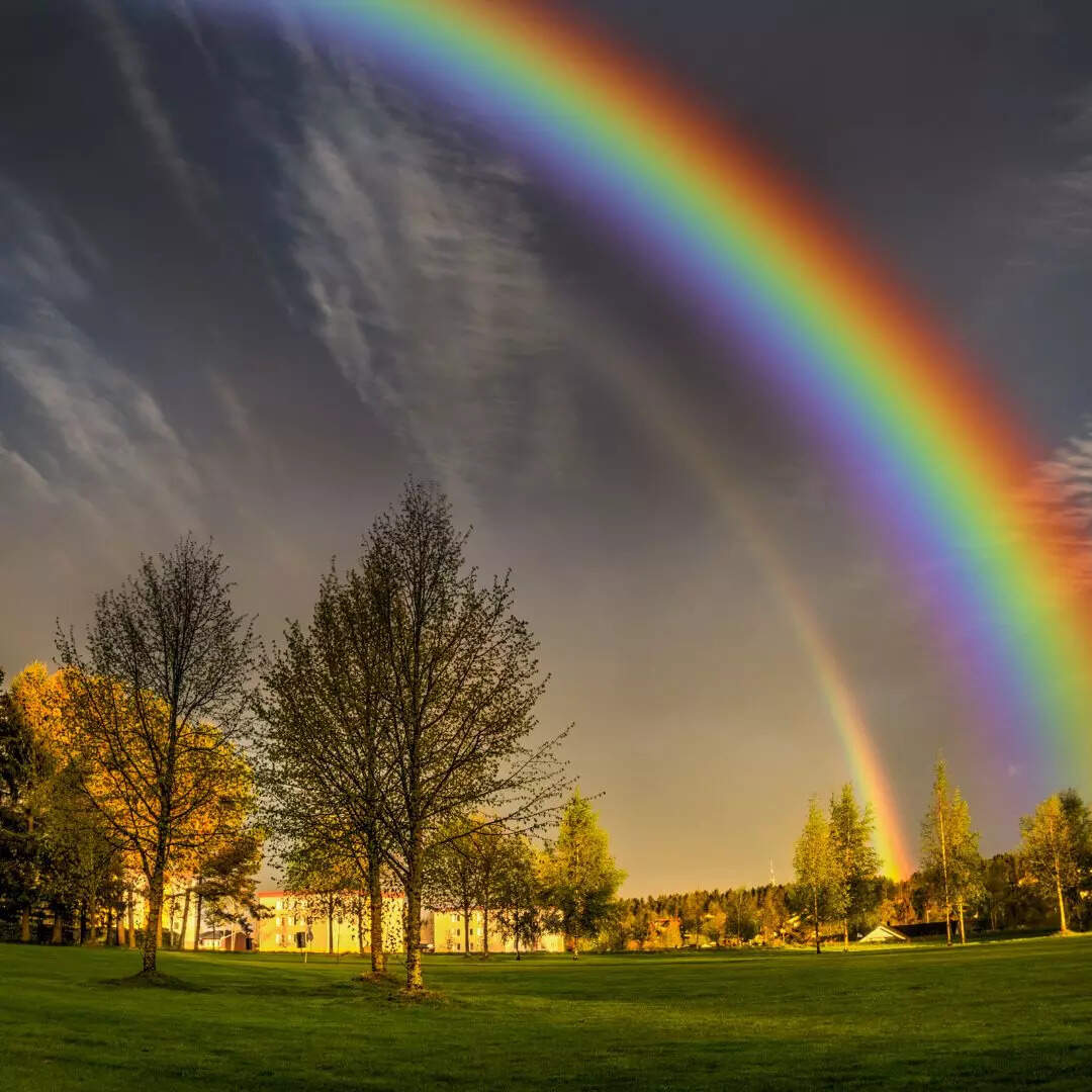 इंद्रधनुष कब और कैसे बनता है, इसके रंगों के पीछे की क्या है Science ...