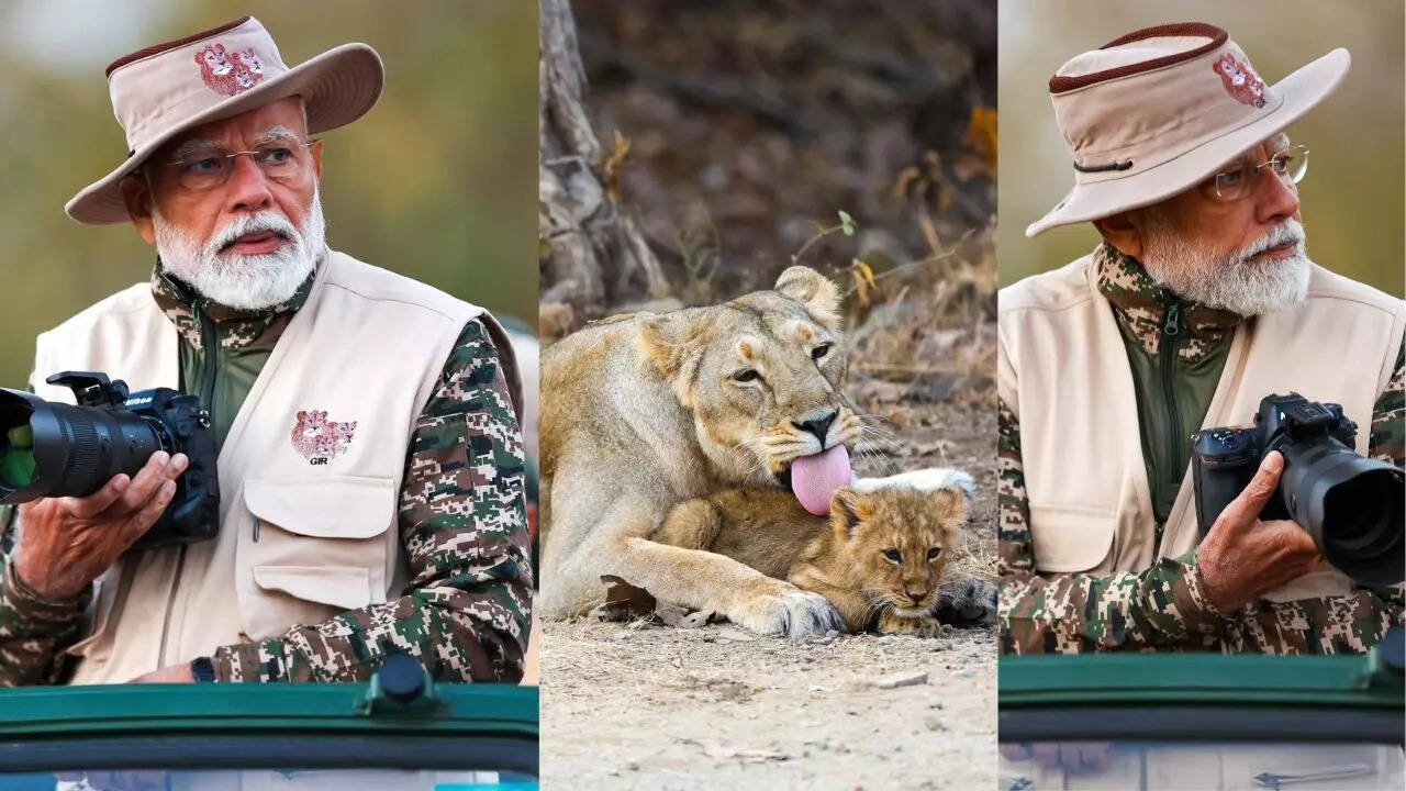 PM Modi enjoyed safari in Gir celebrated World Wildlife Day among lions ...