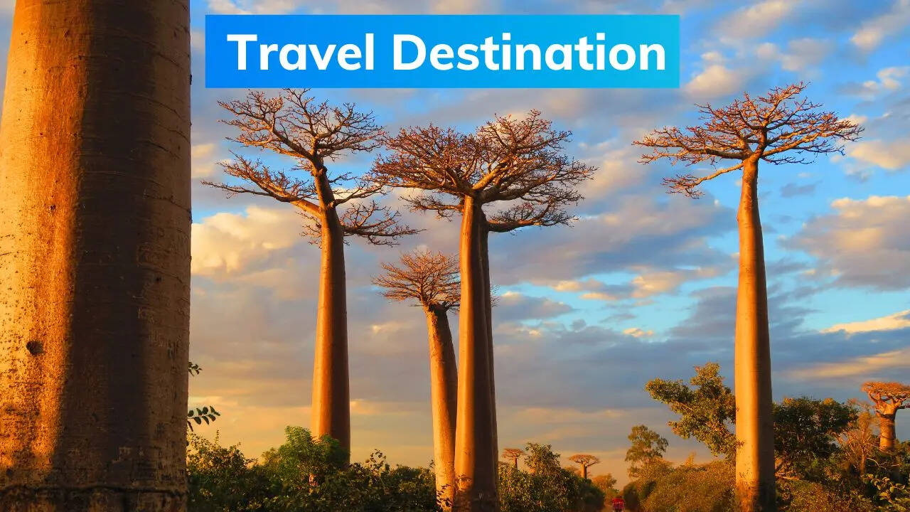 travel destination must visit World Oldest Island Madagascar - खुद में ...