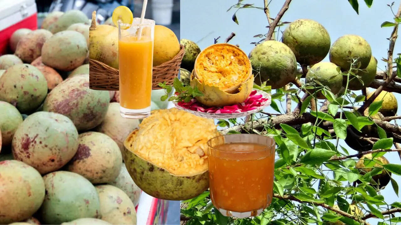 Bael: भारत के किस राज्य में होता है सबसे ज्यादा बेल? ये 5 राज्य करते ...