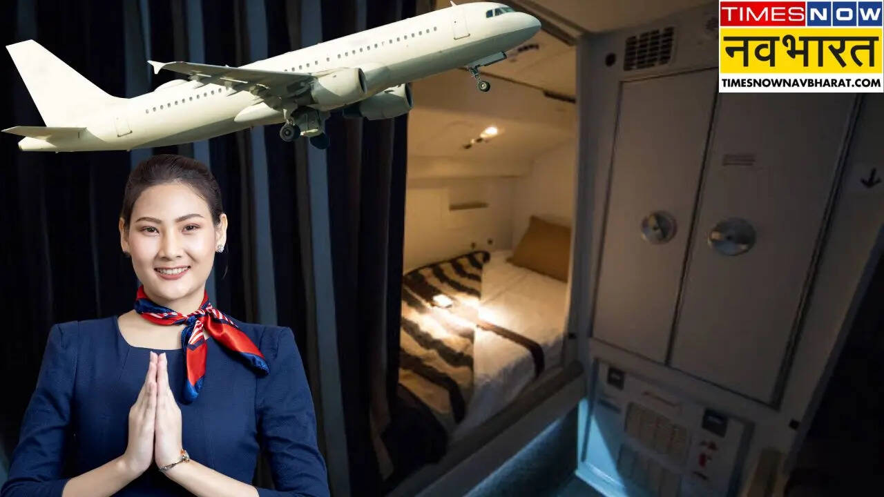 aeroplane, private jet, air hostess, pilot, jet plane, Are there secret ...