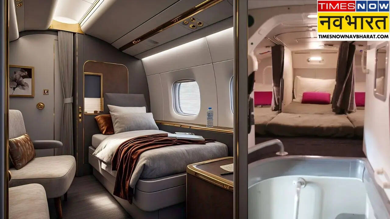 aeroplane, private jet, air hostess, pilot, jet plane, Are there secret ...