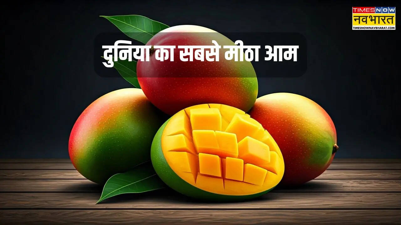 Which is world's Sweetest Mango, Duniya ka sabse meetha aam kaun sa hai ...