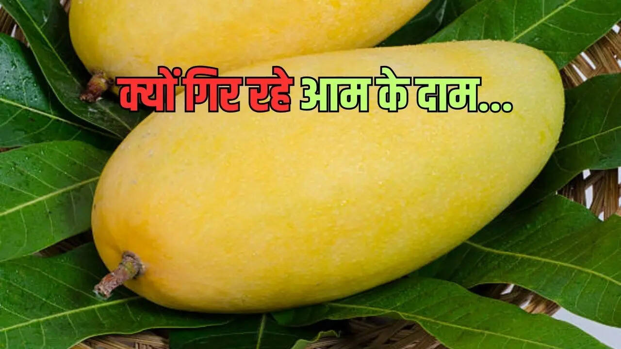 Mango Prices Shocking Fall, Reached From Rs 60 To 40 Rupees Per KG ...