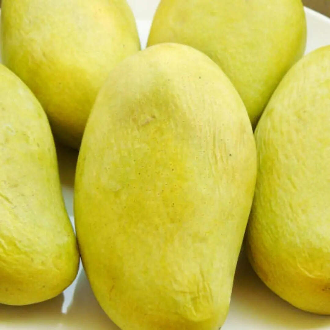 Mango Prices Shocking Fall, Reached From Rs 60 To 40 Rupees Per KG ...