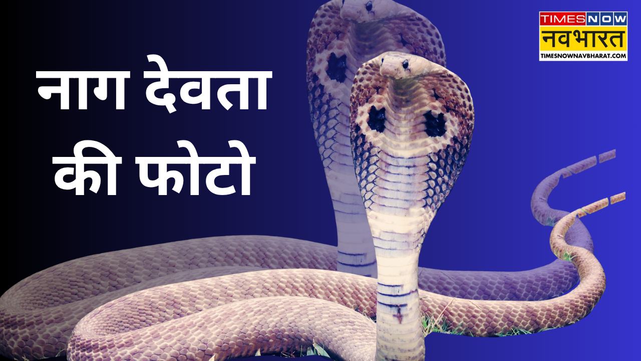 Nag Panchami 2025 Nag Devta ki Photo, Images, hd Pic, Wallpapers ...