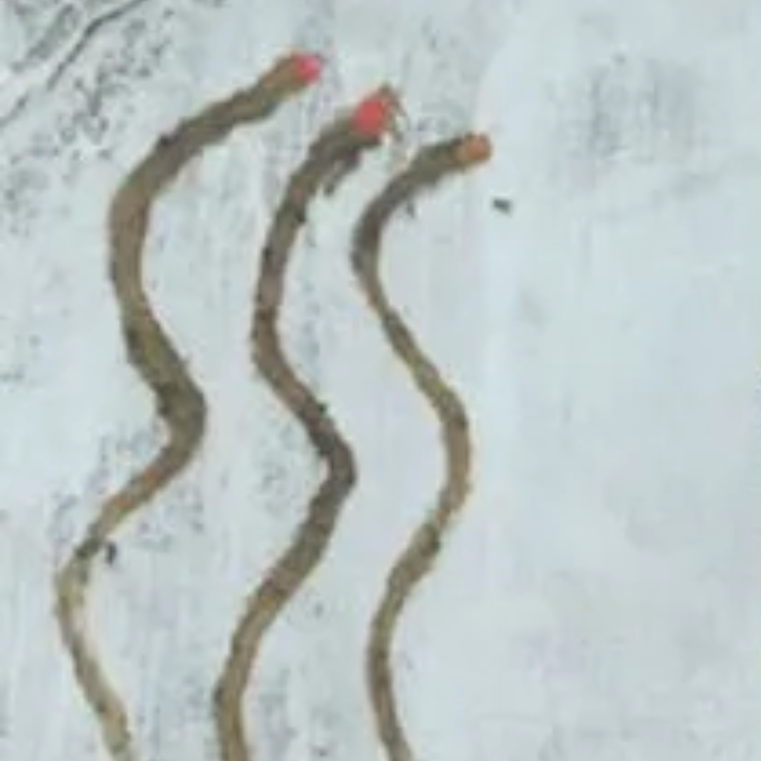 Nag Panchami 2025 Nag Devta ki Photo, Images, hd Pic, Wallpapers ...