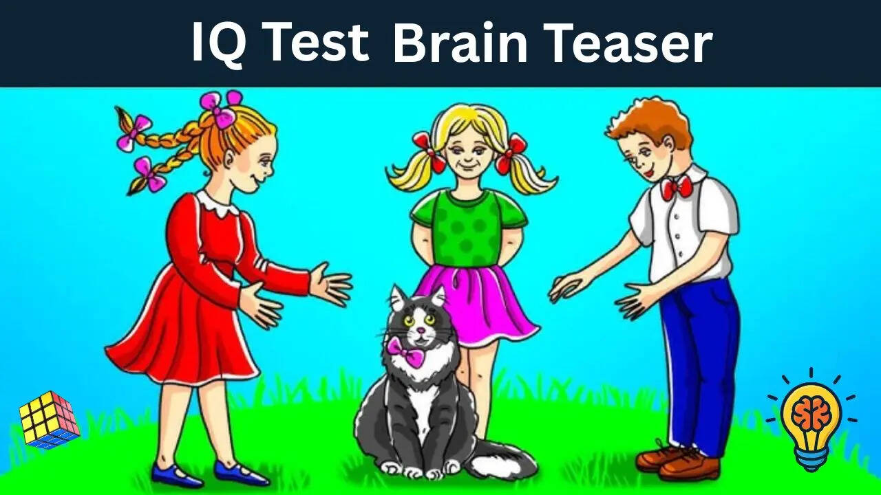 IQ Test Challenge Brain Teaser Riddle Game tell who is the real owner ...