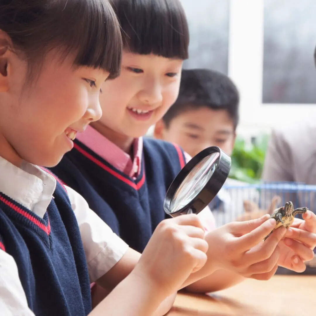 Chinese Education system where students learn Climbing to cooking ...