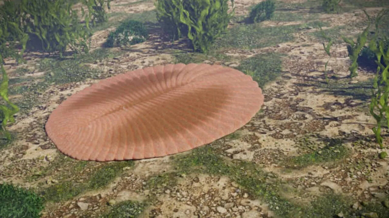 Dickinsonia The World Oldest Known Animal Found in Australia 558 ...