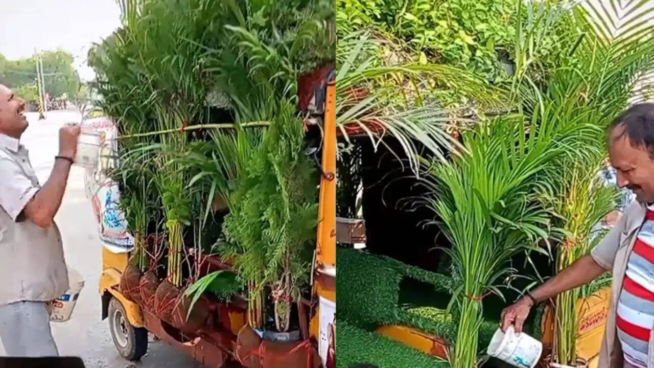 शख्स ने ऑटो में उगा दिए पेड़-पौधे auto garden driver plants viral video ...