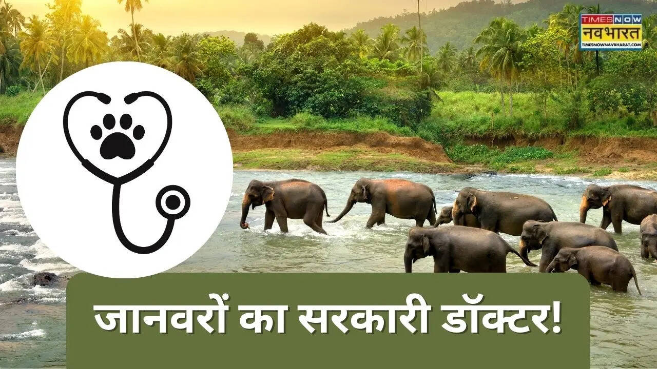 Which animal called sarkari doctor of animals who cleans germs of ...