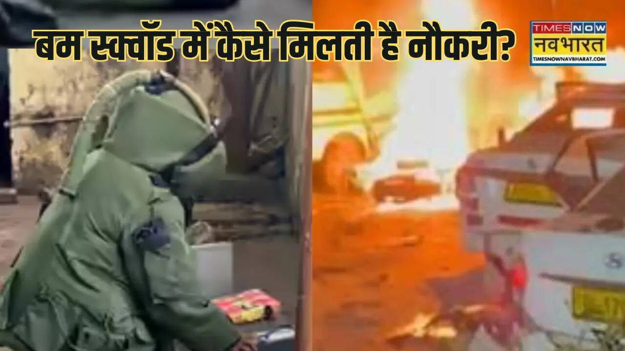 How to get job in Bomb Squad which degree required for this bomb ...