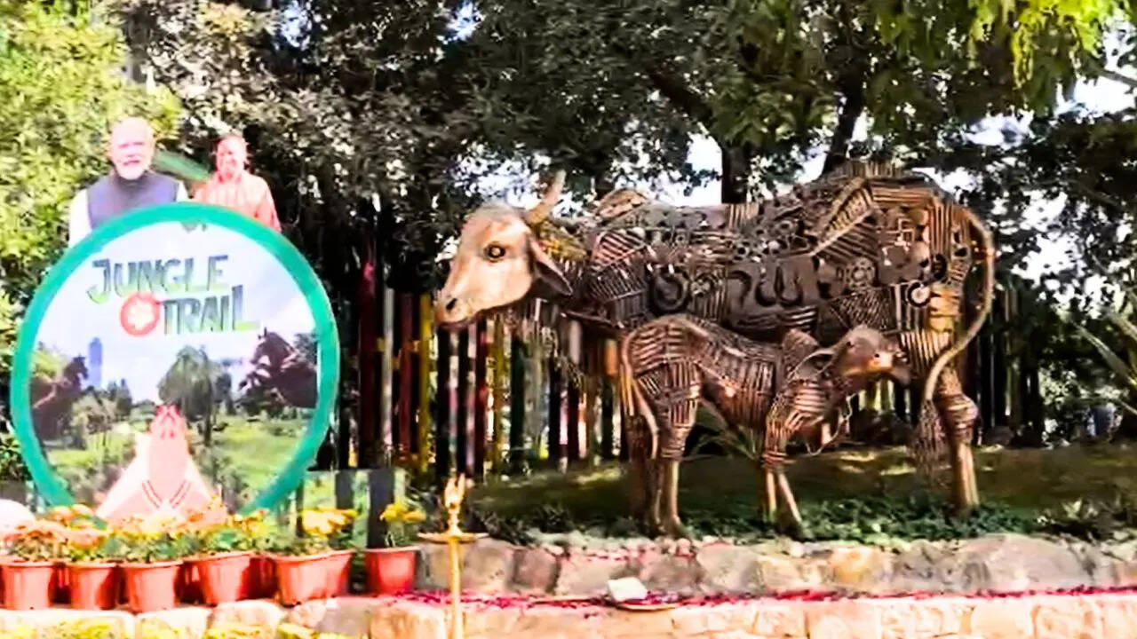 Noida New Jungle Trail Park to become A Hub for Adventure, Art, and Wildlife-नोएडा में खुला ...