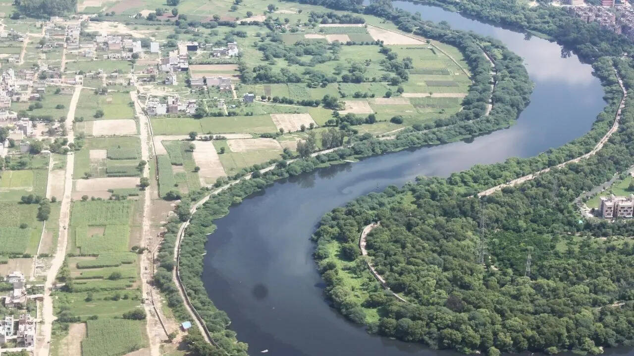 An Ancient River Used to Flow in Delhi Which Has Now Become in ...