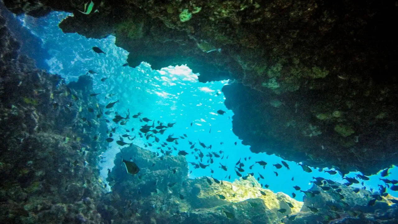 general knowledge question world deepest place mariana trench ...