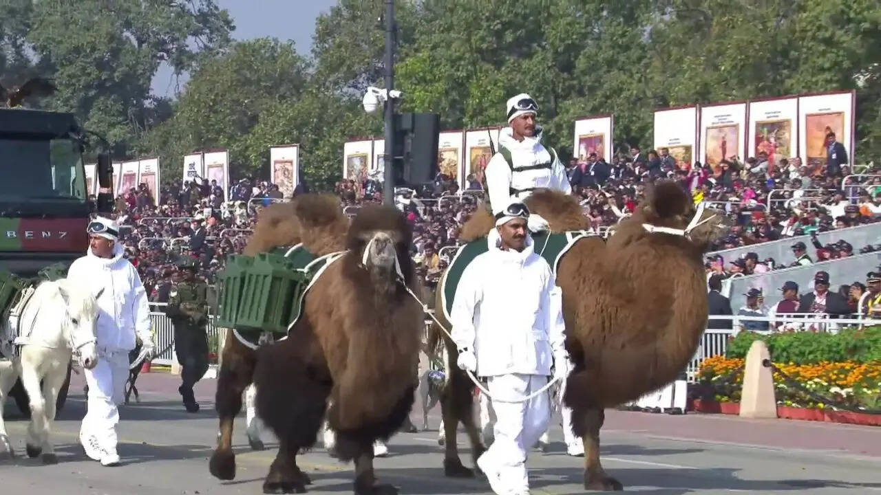 indian army animal contingent at 26 january republic day parade ...