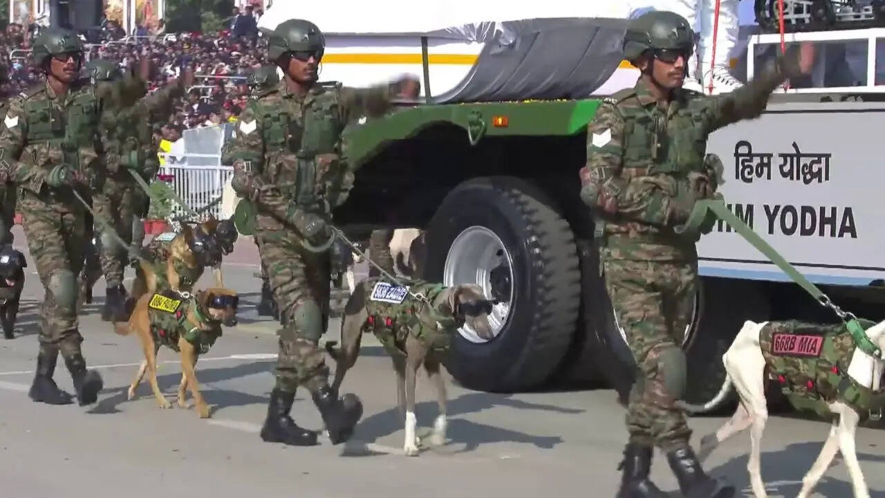 indian army animal contingent at 26 january republic day parade ...