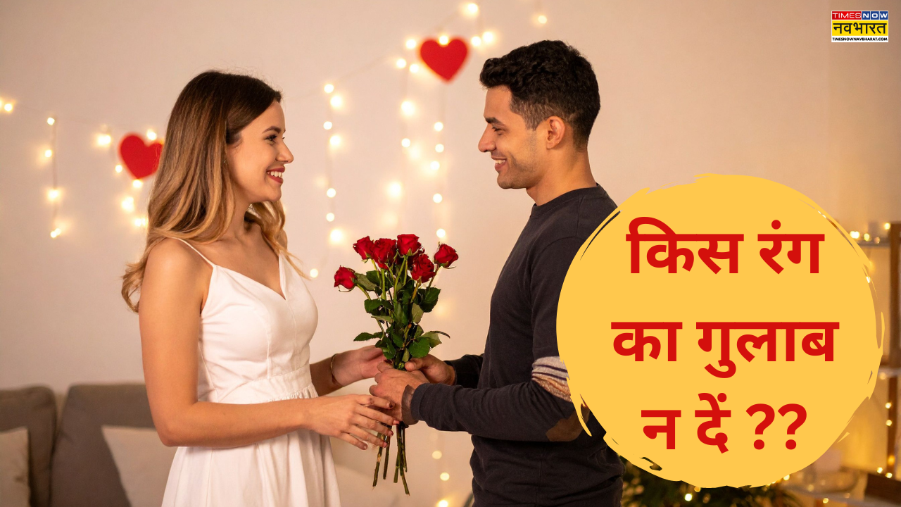 प्यार का दुश्मन बनेगा इस रंग का गुलाब, Rose Day से पहले जान लें कौन से ...
