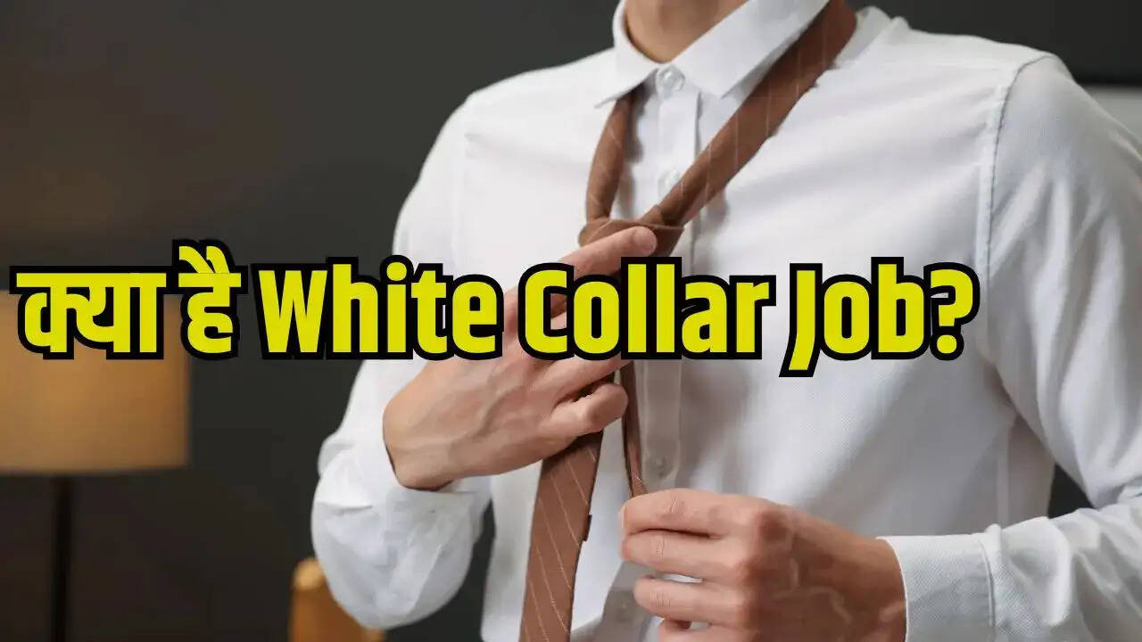 What is white collar job? Learn which jobs are included in this list ...