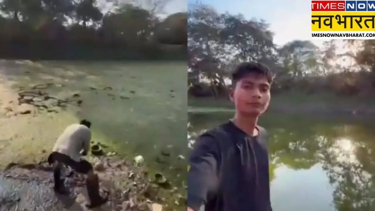 बिट्टू तबाही ने सोशल मीडिया पर मचाई तबाही, अकेले ही साफ करने लगा गंदी ...