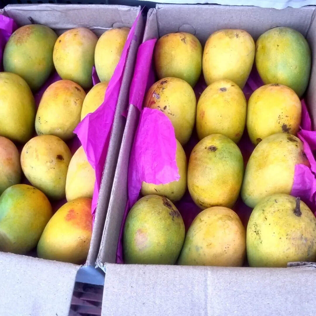 Top 10 Mango Markets in India, Where to Buy the Best Varieties | भारत ...