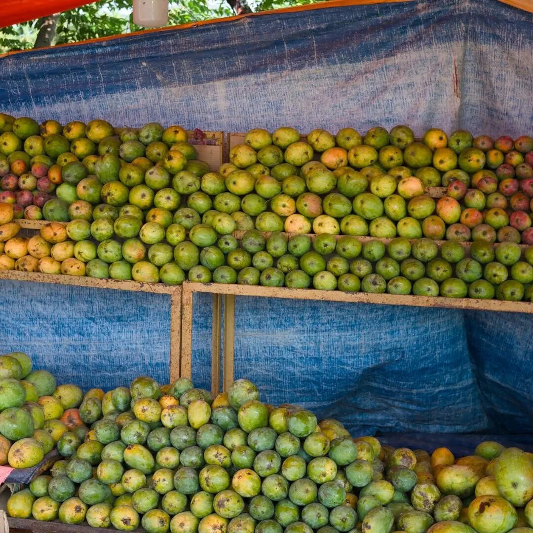 Top 10 Mango Markets in India, Where to Buy the Best Varieties | भारत ...