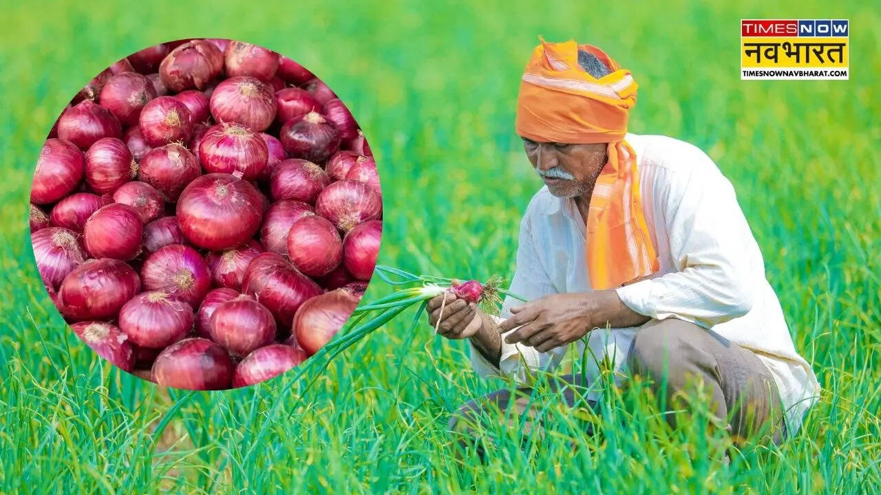 Onion Price Crash: 50 पैसे किलो मिला प्याज का भाव, किसान परेशान, सरकार ...