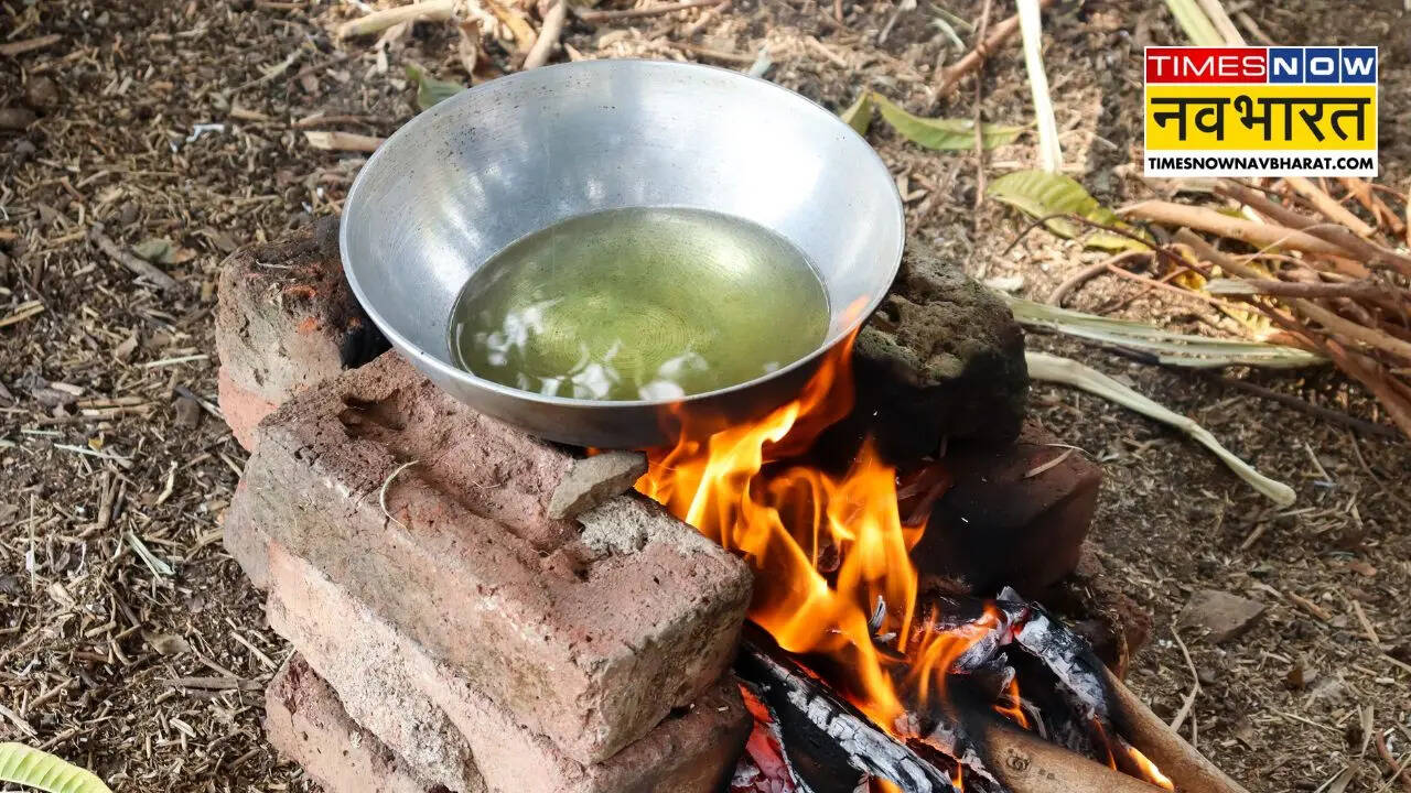 Cooking Oil Prices: सोयाबीन तेल में गिरावट, तिलहन मजबूत, जानें और तेल ...