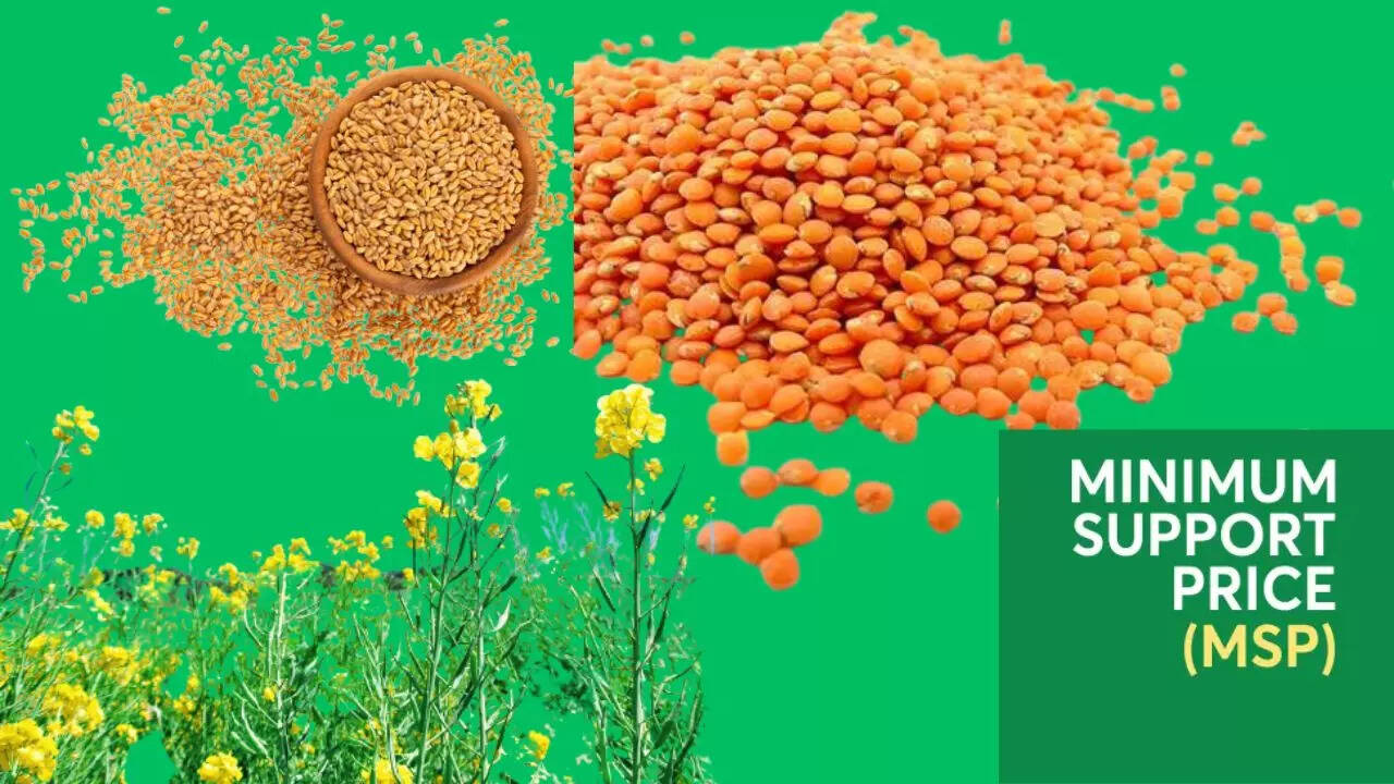 MSP For Rabi Crop:MSP Increased for Rabi crops government hiked it by 7 ...