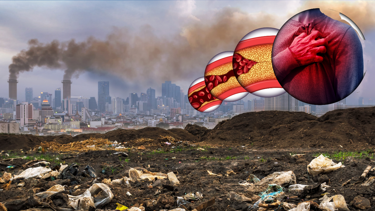 Delhi pollution side effects on health air pollution causes heart ...