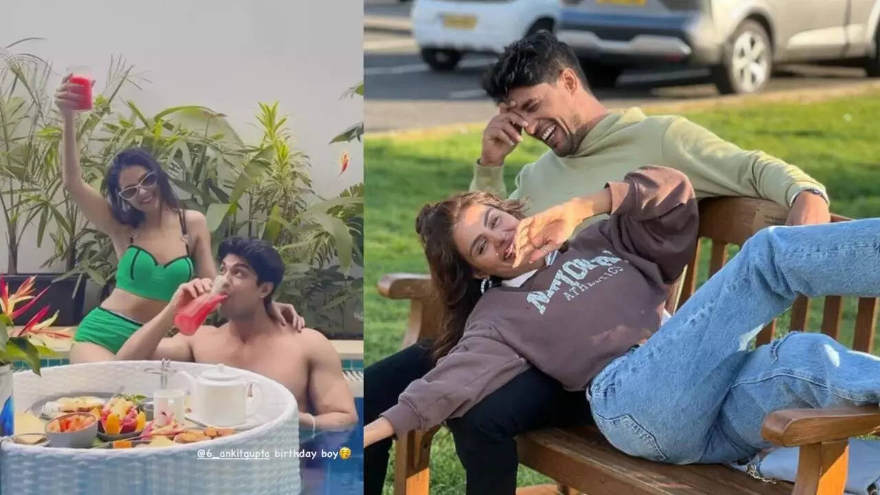 Ankit Gupta Birthday Celebration : bigg boss fame priyanka chahar ...