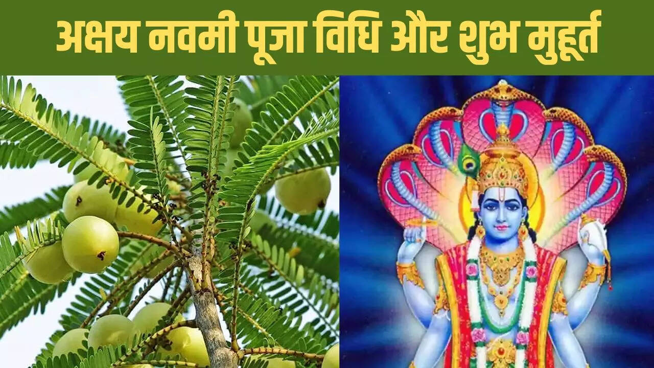 Akshay (Amla) Navami Puja Vidhi In Hindi: Akshay Or Amla Navami Ki Puja ...