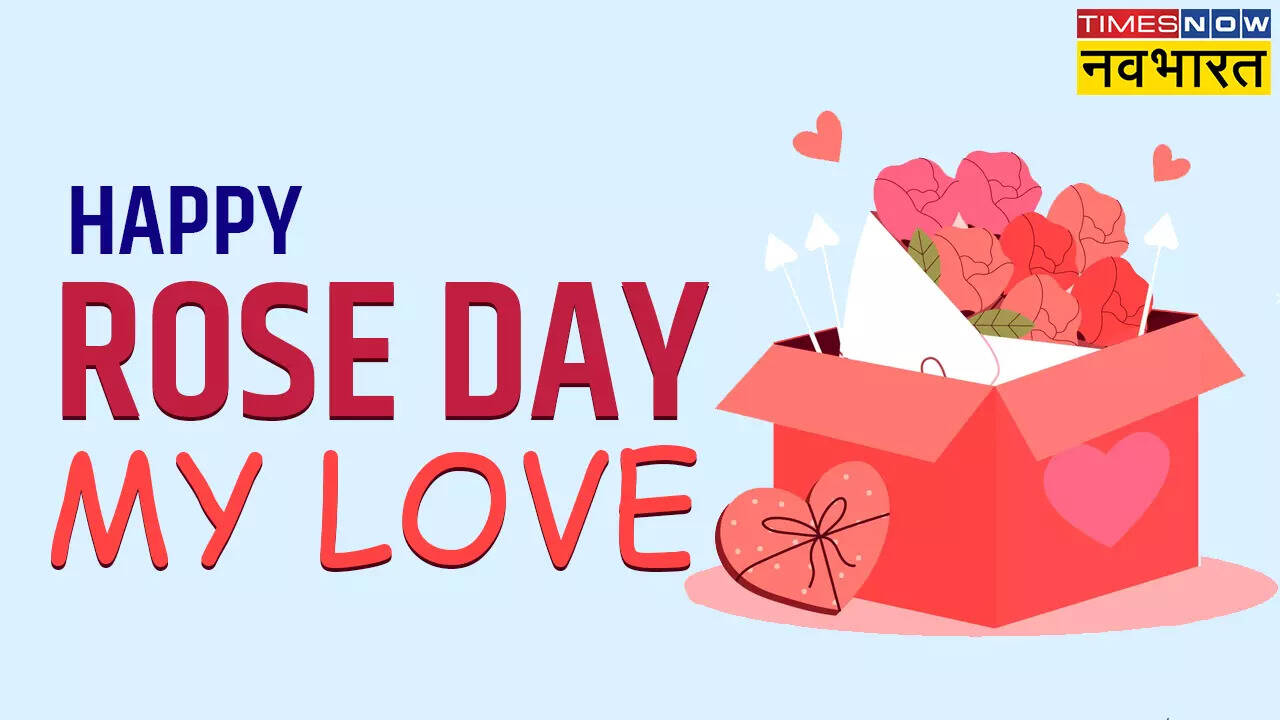 Happy Rose Day 2024 Wishes: Rose Day Images, Quotes, Messages, HD ...