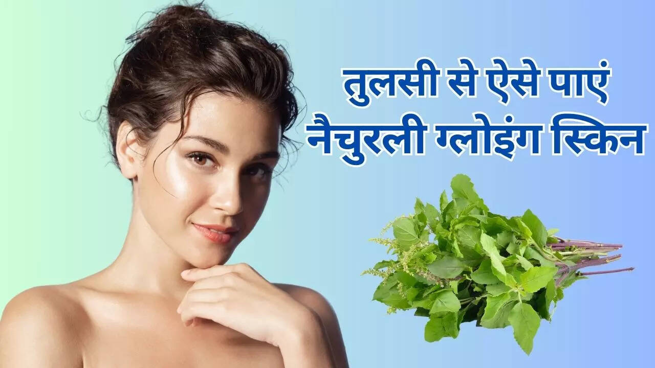 Benefits Of Tulsi leaves For Skin In Hindi: Tulsi Leaves Benefits For ...