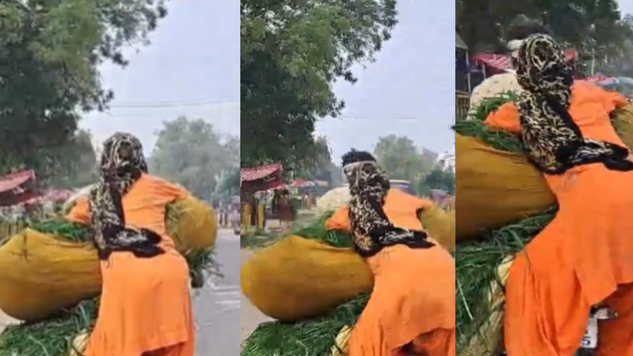 Today Trending Video Funny Indian Jugaad Video must watch | Times Now Navbharat