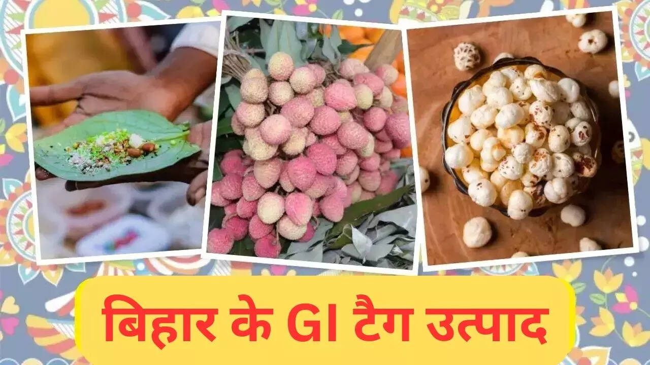 बिहार के कितने उत्पादों को मिले हैं GI टैग-How many products of Bihar ...