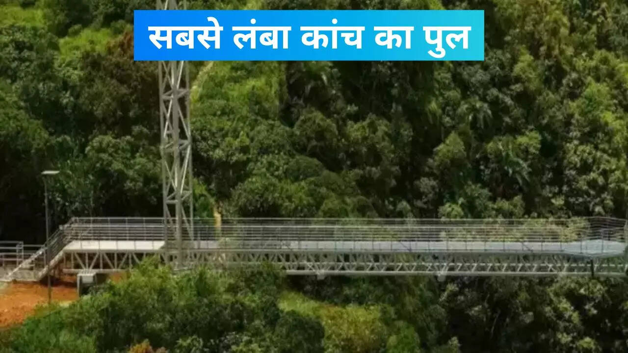 Vagamon cantilever glass bridge reopened after 125 day in Kolahalamedu ...