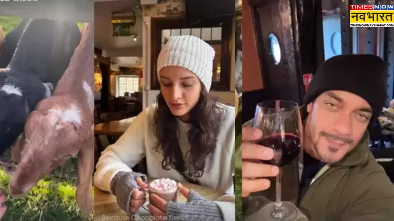 Tripti Dimri और Sam Merchant इंगलैंड में गुजार रहे हसीन पल! इन फोटोज ने ...