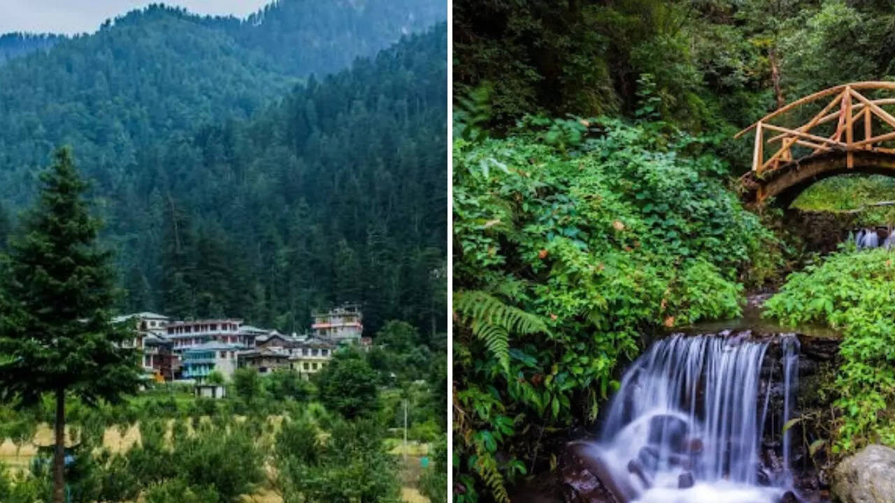 Exploring Jibhi in Himachal Pradesh Himachali cuisine Location and ...