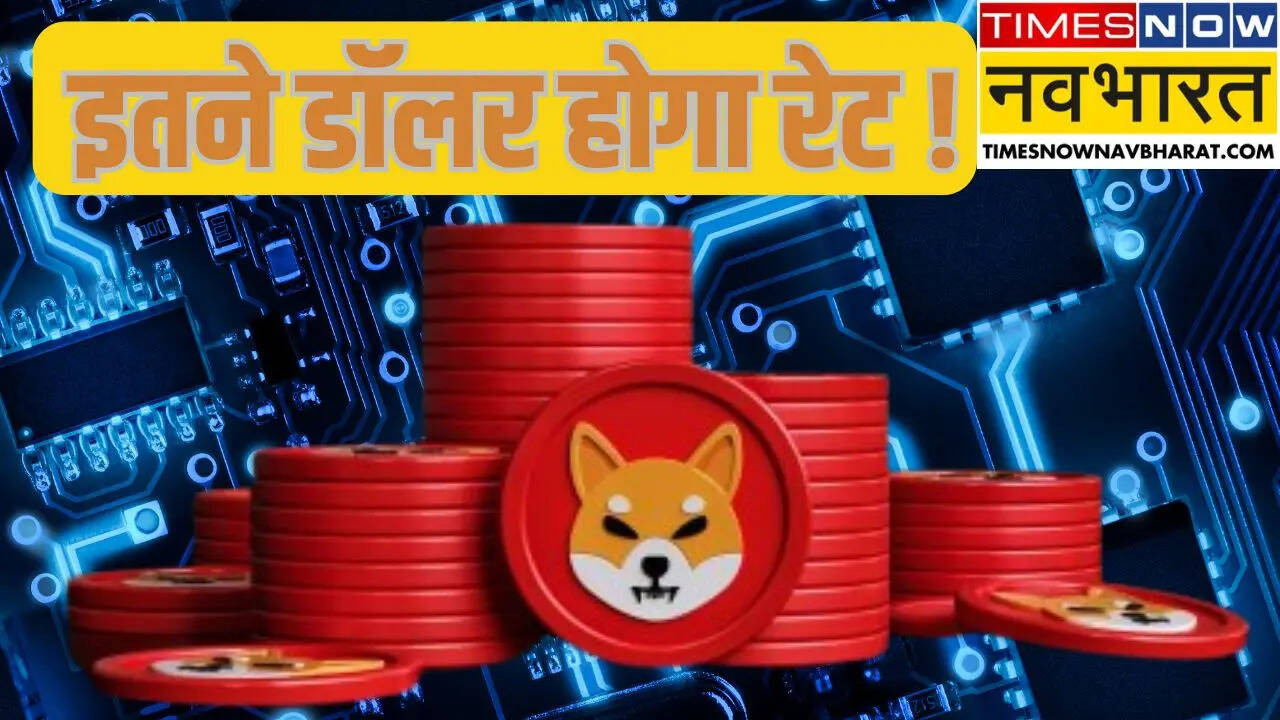 Shiba Inu, cryptocurrency, crypto market, dogecoin, bitcoin, Does Shiba Coin have a future ...
