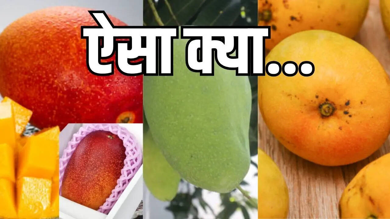 दुनिया की 7 सबसे महंगे आम की वैरायटी, खरीदने से पहले 100 बार सोचेंगे ...